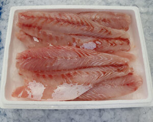 Fresh and Frozen Nile Perch Skinless Fillets - Pesca Perch